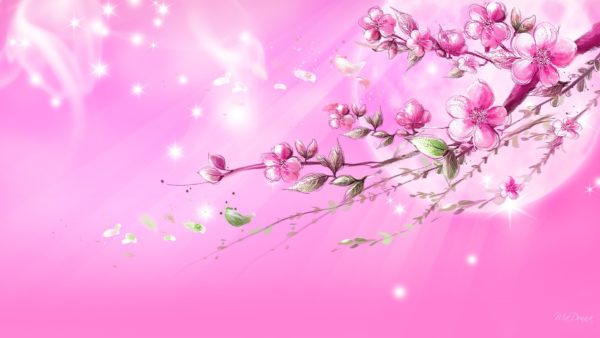 40 Lovely Pink Wallpapers for a Fresh Desktop Look