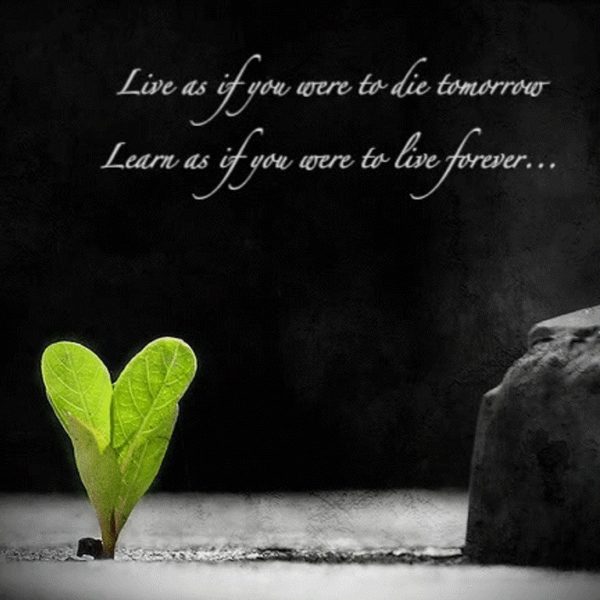 20 Powerful Life Quotes to Guide Your Path