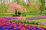 35 Vibrant Spring Pictures and Wallpapers to Invigorate Your Space
