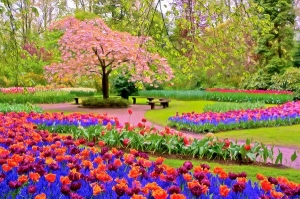 35 Vibrant Spring Pictures and Wallpapers to Invigorate Your Space