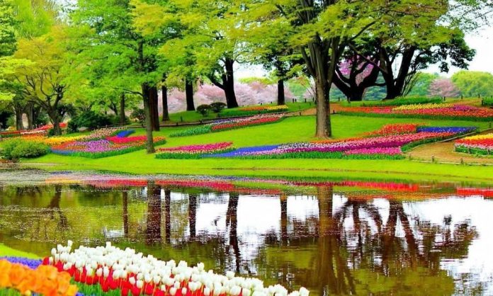 35 Vibrant Spring Pictures and Wallpapers to Invigorate Your Space