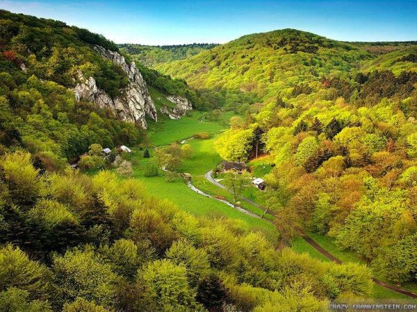 35 Vibrant Spring Pictures and Wallpapers to Invigorate Your Space