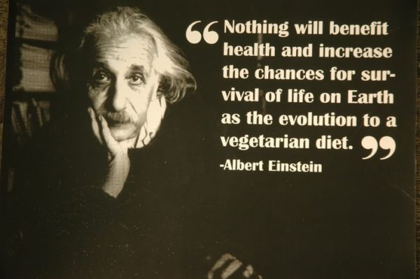 60 Timeless Albert Einstein Quotes to Inspire Your Mind