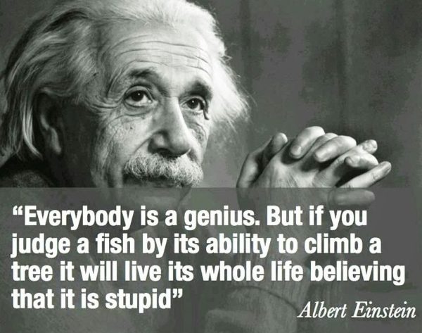 60 Timeless Albert Einstein Quotes to Inspire Your Mind