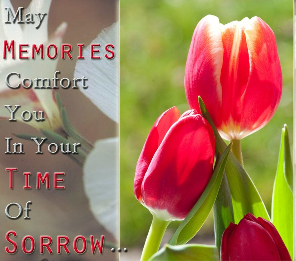 25 Sympathy Quotes and Messages to Offer Condolences