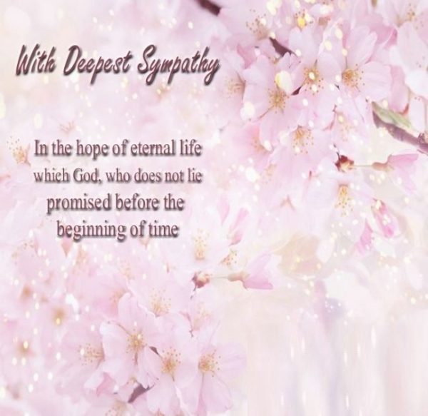 25 Sympathy Quotes and Messages to Offer Condolences